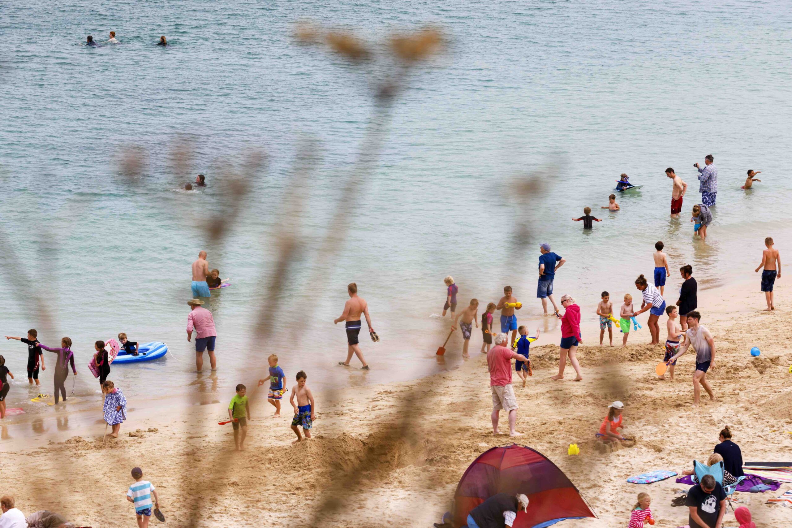 MARTIN PARR / PHOTO LONDON - EN | Muse